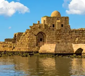 Markit | Your Online Supermarket